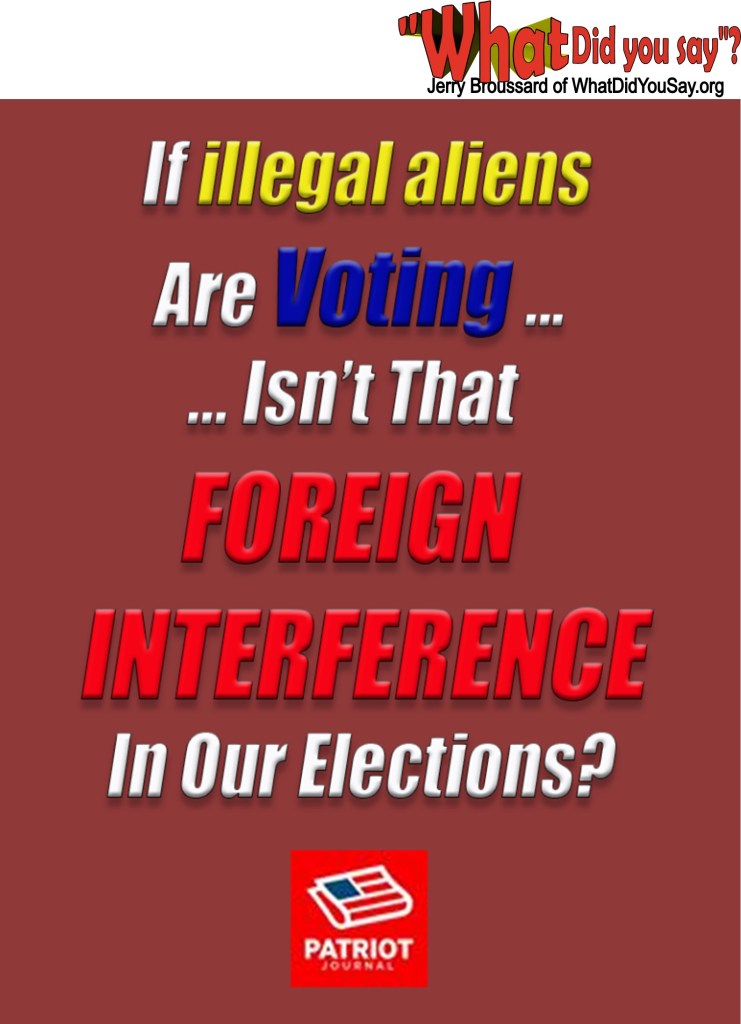 The Right to Vote Is a Privilege Reserved for Citizens, Not for Illegal ...